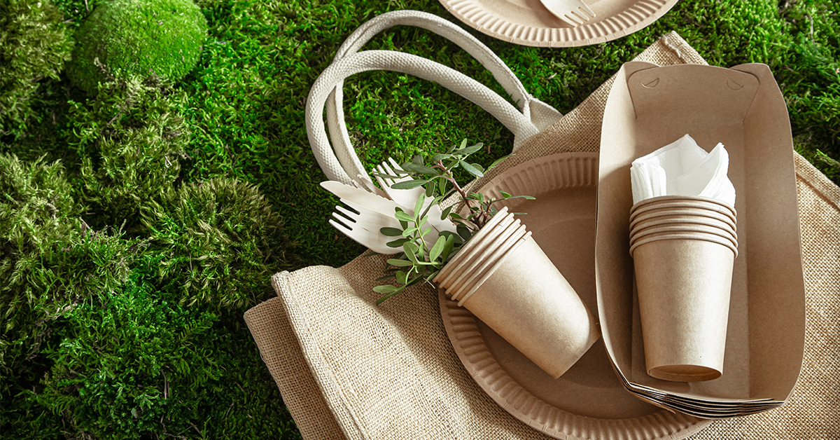 Beneficios de utilizar empaques biodegradables | Distribuidores Col